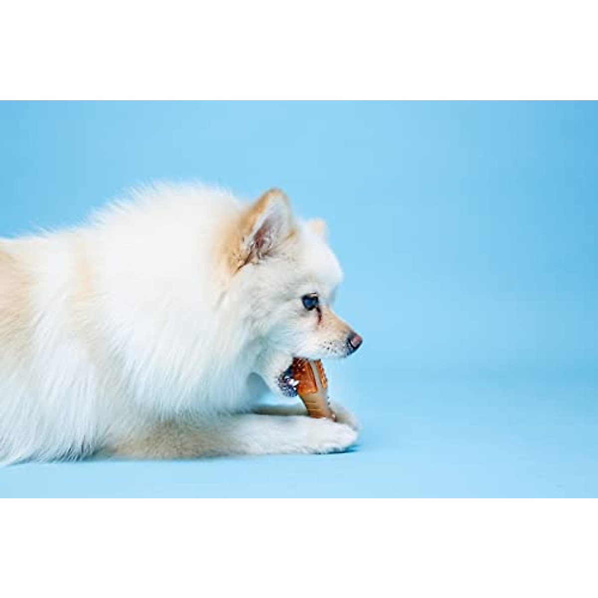 Hartz Chew ‘n Clean Chew Toy and Treat in One Chicken Flavored Drumstick Dog Toy, Small