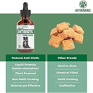 Natural Dog Antibiotics - Antibiotics for Dogs - Antibiotic for Dog - Yeast Infection Treatment for Dogs - Dog Yeast Infection Treatment - Itch Relief for Dogs - 1 fl oz - Bacon Flavor