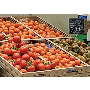 Alco Designs Collapsible Storage Bin/Container: Grated Wall Utility Basket/Tote, Durable, Long-Lasting, Wooden Designed Plastic (Small 24x16x4.1", Brown)