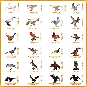 HOMNIVE Birds Figurines, 23pcs Realistic Eagle Parrot Robin Owl Toy Bird, Fairy Garden Accessories, Learning Educational Toys for Dollhouse Birthday Cake Topper Gift for Kids Toddler