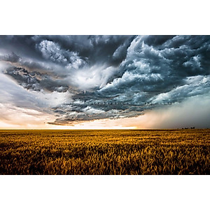 Thunderstorm Photography Print (Not Framed) Picture of Storm Clouds Churning Over Amber Wheat Field on Spring Day in Colorado Weather Wall Art Western Decor (24" x 36")