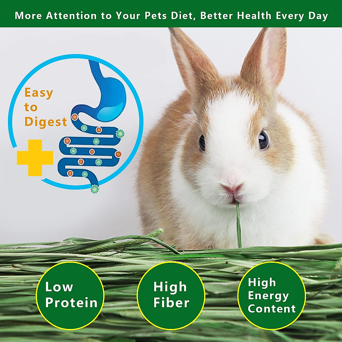 Ohcool Timothy Hay 2.2LBS - Premium Hay for Rabbits Tortoise Guinea Pig Chinchilla - Dust Free Natural Fresh Hay (1.1 lbs, 2 Pack)