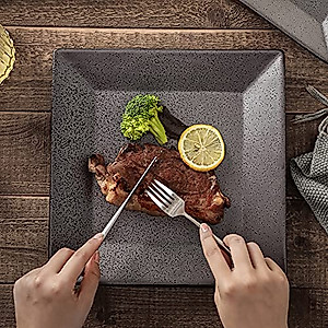 vicrays Ceramic Square Dinner Plates Set 10 inch Large Porcelain Serving Plates for Steak Pasta Pizza - Set of 4 - Dark Grey