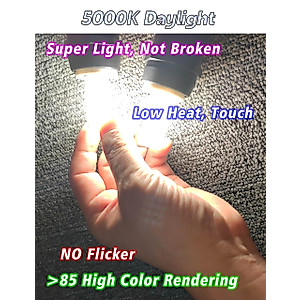 Xyanmc Fridge Freezer Light Bulb Replacement E17 LED Appliance Bulb 5W Equivalent 60W 5000K Daylight 650LM, E17 Intermediate Base Fridge Bulbs KEI D28M KEI D28A KEL2811 5304517886 Refrigerator 2PACK