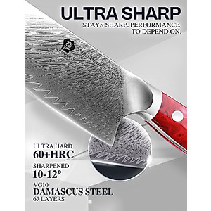 WILDMOK Damascus Kitchen Knife Sets 3 PCS, Razor Sharp Kitchen Knives Made of Japanese Damascus Steel, Well-Balanced Damascus Chef Knife set with Premium Resin Full Tang Handle Triple Rivet Gift Box