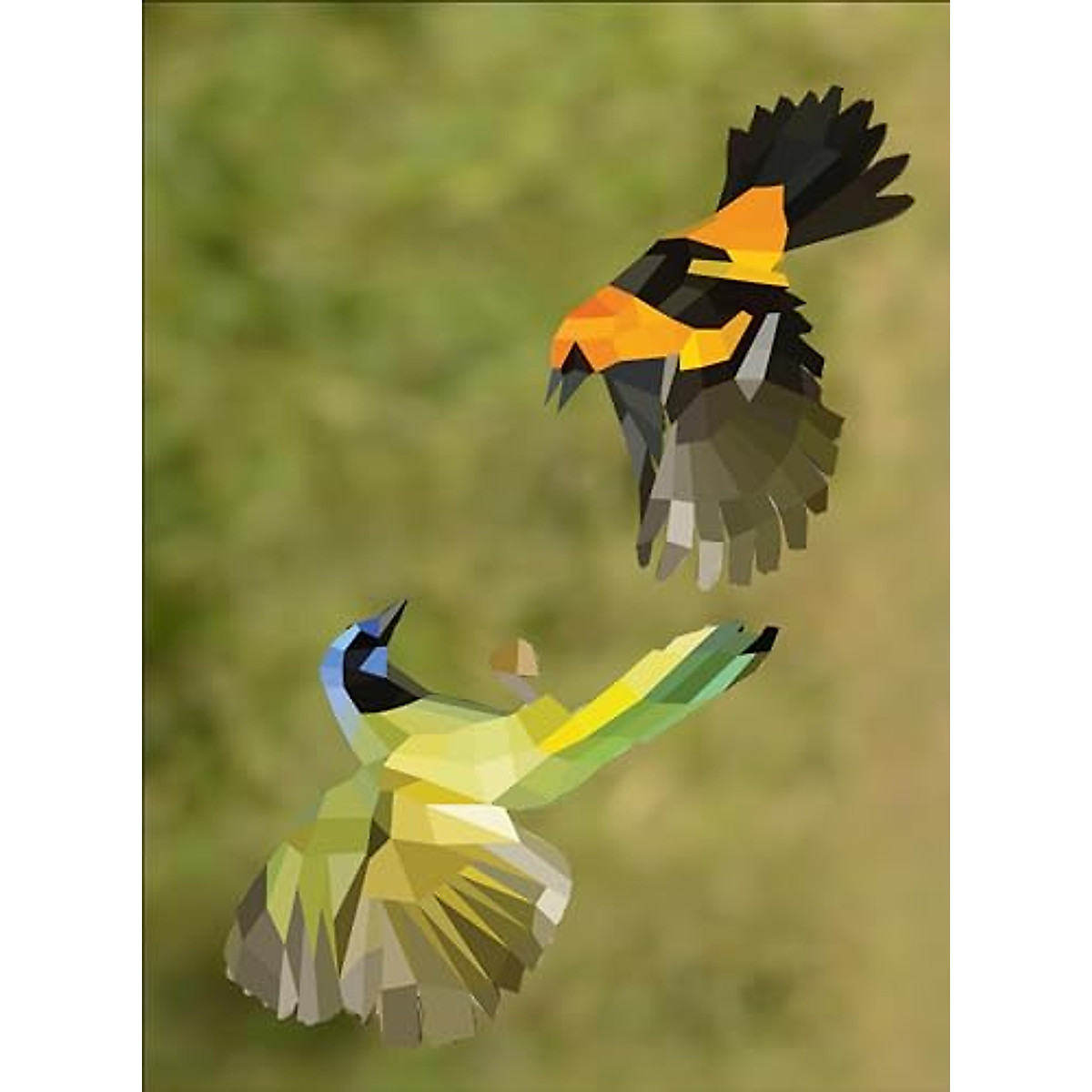 Paint by Sticker: Birds: Create 12 Stunning Images One Sticker at a Time!