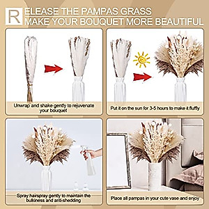 121pcs Dried Pampas Grass Decor, Boho Home Table Fall Decor Dried Flowers, White & Natural Pampas Grass, Reed Grass, Bunny Tails, 17 inch Pompass Grass for Wedding Home Decoration, Farmhouse Party