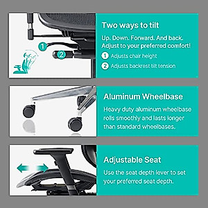 Duorest [Dual-backrests Alpha - Ergonomic Office Chair, Home Office Desk Chairs, Executive Office Chair, Best Office Chair for Lower Back Pain, Mesh Office Chair, Office Desk Chair (Black/Blue)