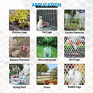 Senershuo Upgraded 15.7IN x 10FT White Plastic Chicken Wire Fence Mesh, Hexagonal Fencing for Gardening, Poultry Fencing, Chicken Wire Frame for Crafts, Floral Netting (PLASTIC40-300W)