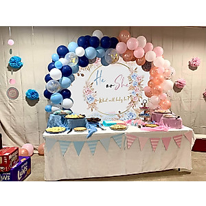 Baby Backdrop for Photography He or She Paty Background 7x5FT Gender Reveal Party Backdrop Baby Shower Decoration Photo Booth Supplies Studio Props Vinyl (84x60 inch)
