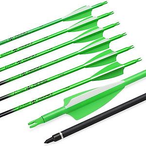 Carbon Arrows 28 Inch Targeting Practice Hunting Arrow Fluorescence Color for Compound Bow and Recurve Bow with 100 Grain Removable Tips (Pack of 12)