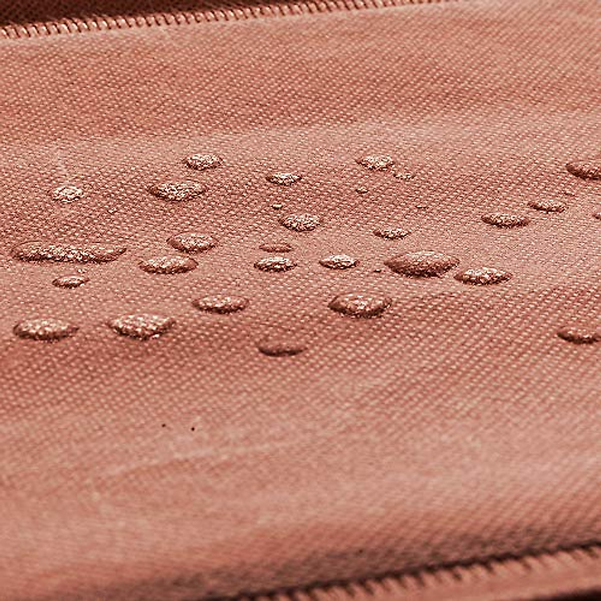 Flandre 10 Tiers Shoe Rack with Dustproof Cover Space Saving Closet Shoe Storage Cabinet Organizer (Mocha)