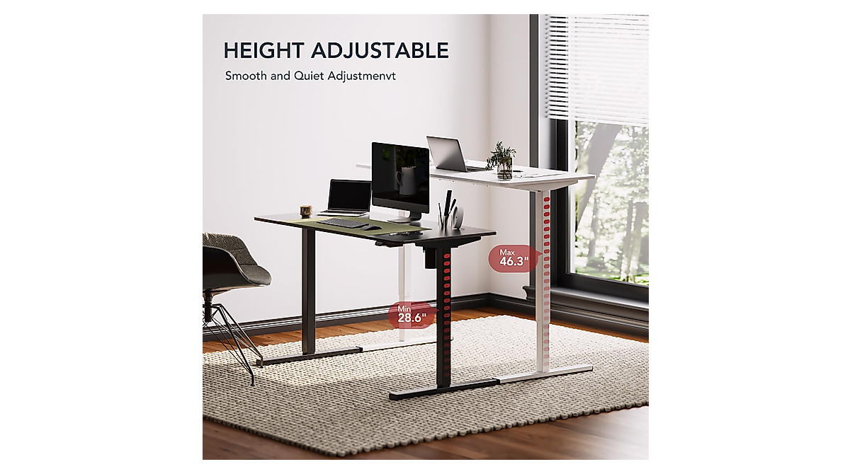 FLEXISPOT Electric Height Adjustable Desk | Ergonomic Workstation