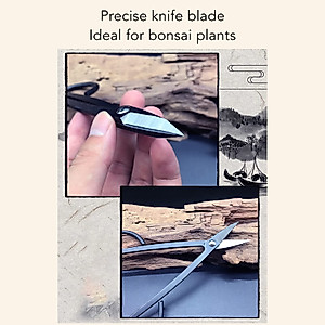 Plant Branch Scissors 58HRC Rust Resistant Steel Bonsai Scissors Cut for Garden Flower Arranging