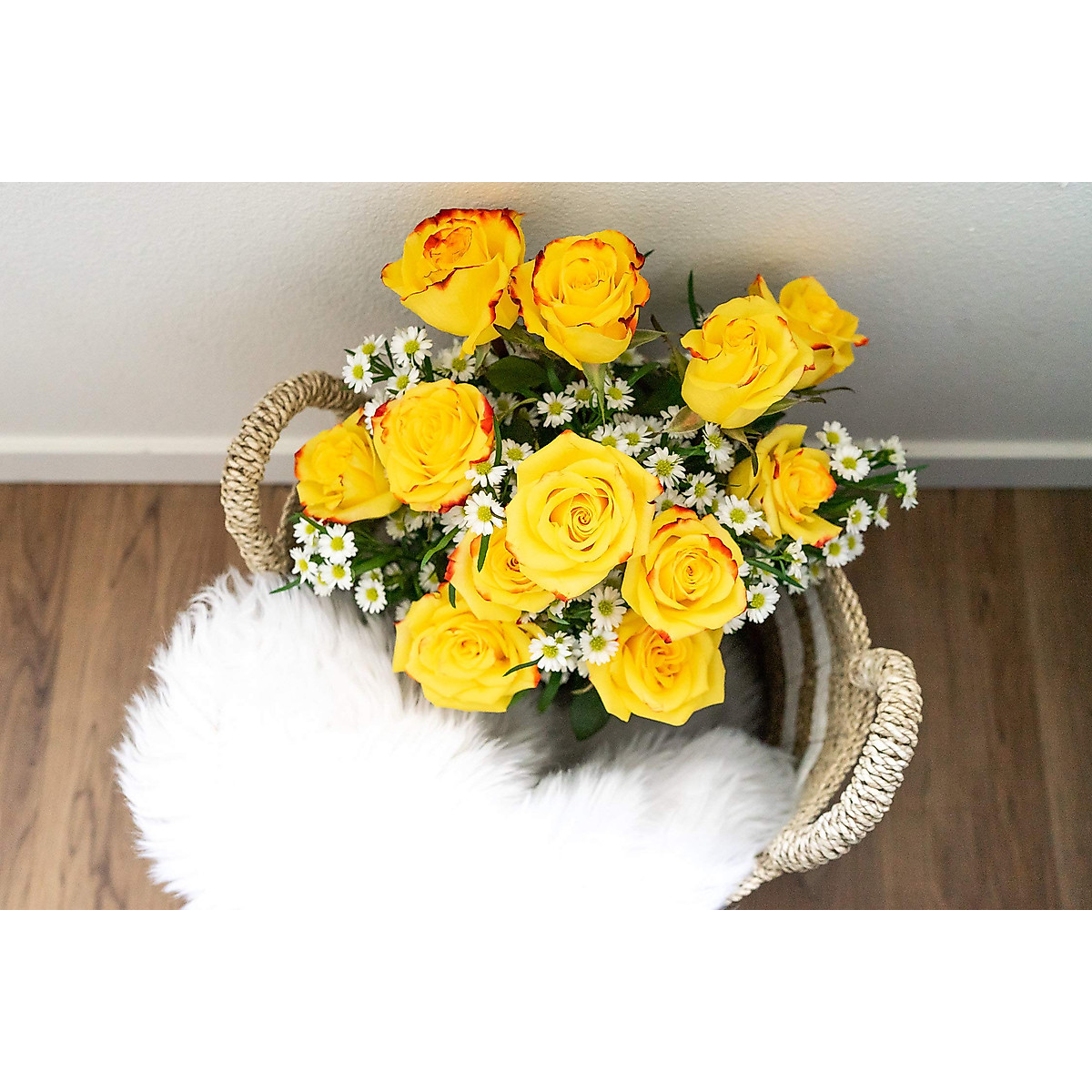 From You Flowers - One Dozen Festive Roses with Glass Vase (Fresh Flowers) Birthday, Anniversary, Get Well, Sympathy, Congratulations, Thank You