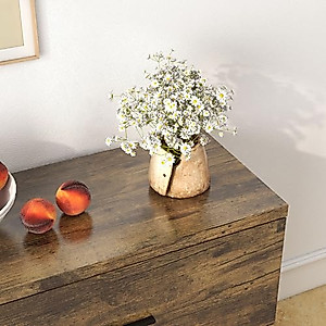 Panana 2-Drawer Wood Lateral File Cabinet, Filing Cabinets Anti-Tilt Mechanism for Home Office Storage Organization, Accommodates Letter/A4/Legal Size, New Heightened Drawer Design Home Office (Wood)