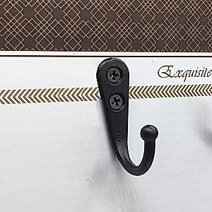 PietyPet 40 Pieces Single Robe Hooks Metal Cloth Hanger Wall Mounted Hook with Screws for Coat, Scarf, Bag, Towel, Key, Cap, Cup, Hat (Black)