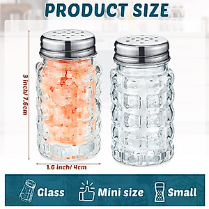Lallisa 30 Pack Retro Style Salt and Pepper Shakers 2 oz Clear Glass Salt Shaker with Stainless Steel Lids for Kitchen Counter Table Restaurant Hold Various Condiments (Trendy)