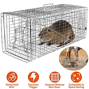 KOCASO Live Animal Trap Cage, Folding Large Humane Heavy Duty Trap Cage Catch Release Live Animal Rodent Trap Cage Collapsible Galvanized Wire for Raccoons Beavers Groundhogs Foxes Armadillos