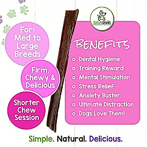 Nature Gnaws Beef Jerky Chews for Large Dogs - Premium Natural Beef Gullet Sticks - Simple Single Ingredient Tasty Dog Chew Treats - Rawhide Free - 9-10 Inch