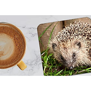 Mount Rushmore Mug - Ceramic 11oz RINGER Coffee/Tea Cup Gift Stocking Stuffer