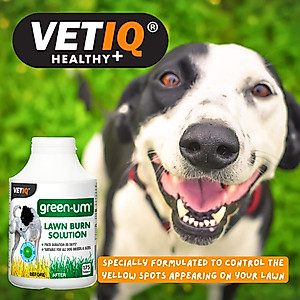 VetIQ Green-Um Dog Urine Neutraliser, 100 Tablets, Urine Neutraliser Lawn Burn Solution, Puppy Essentials Controls Nitrogen in Urine to Prevent Lawn Yellow Spots, Wee Neutraliser for All Breeds/Sizes