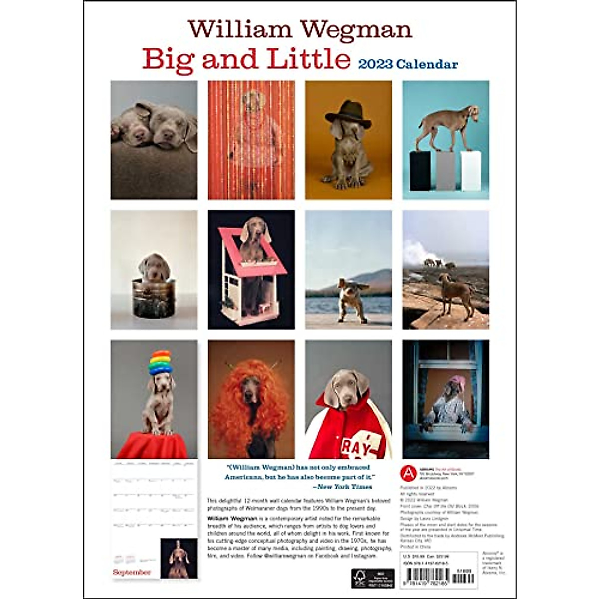 William Wegman Big and Little 2023 Wall Calendar