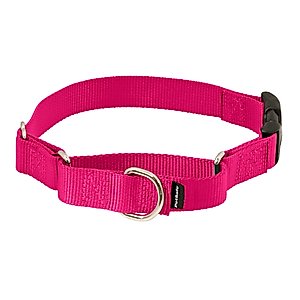 PetSafe Martingale Dog Collar with Quick-Snap Buckle - Medium, 1 Inch, Raspberry