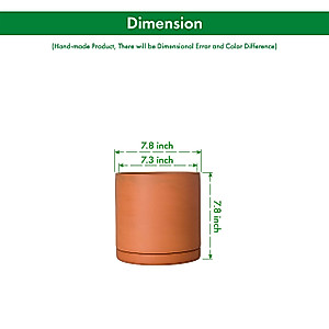 D'vine Dev Medium 8 Inch Terracotta Plant Pot with Drainage Hole and Saucer, Round Cylinder Planter Pot for Indoor Plants, 40-X-A-4