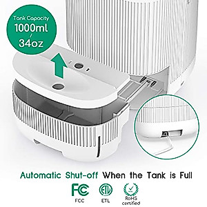 Air Purifier and Dehumidifier in 1, Afloia Q10 True HEPA Air Purifier with H13 HEPA Filter, Small Dehumidifier Combined with Air Cleaner, Remove Pet Odors Dust Smoke for Home, Bedroom, Bathroom