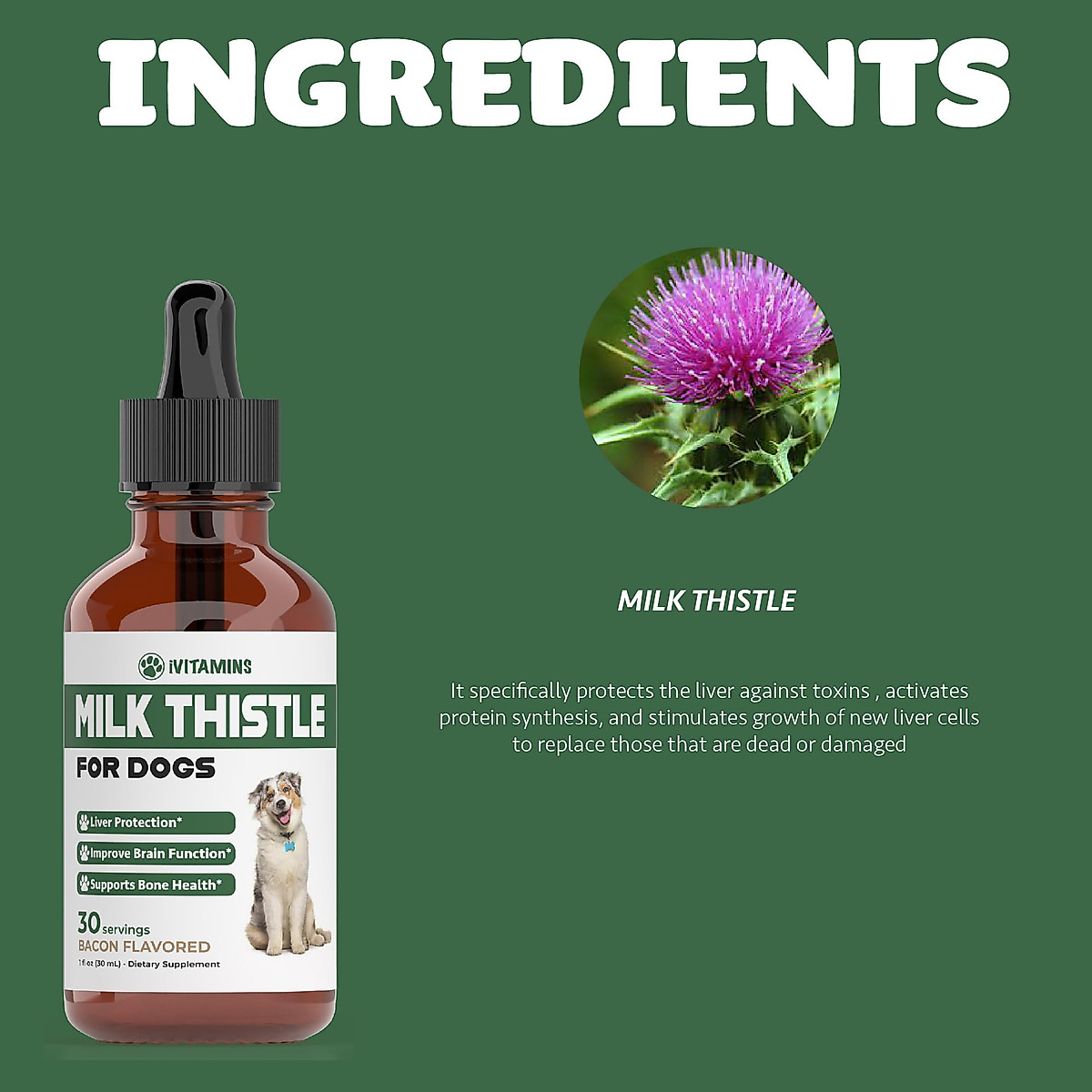 Milk Thistle for Dogs | Supports Liver and Kidney Health | Milk Thistle for Dogs Liver Support | Dog Milk Thistle | Dog Liver Support | Dog Liver Supplement | Milk Thistle Supplement for Dogs | 1 oz