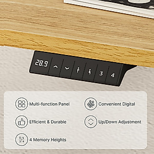 FLEXISPOT EN2 Whole-Piece Standing Desk with Clamp Power Strip, 48 x 24 Electric Stand Up Height Adjustable Desk with Cable Management (White Frame + 48" Maple Top)