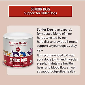 Hilton Herbs Senior Dog Optimum Health Supplement for Older Dogs, 2.1 oz Tub