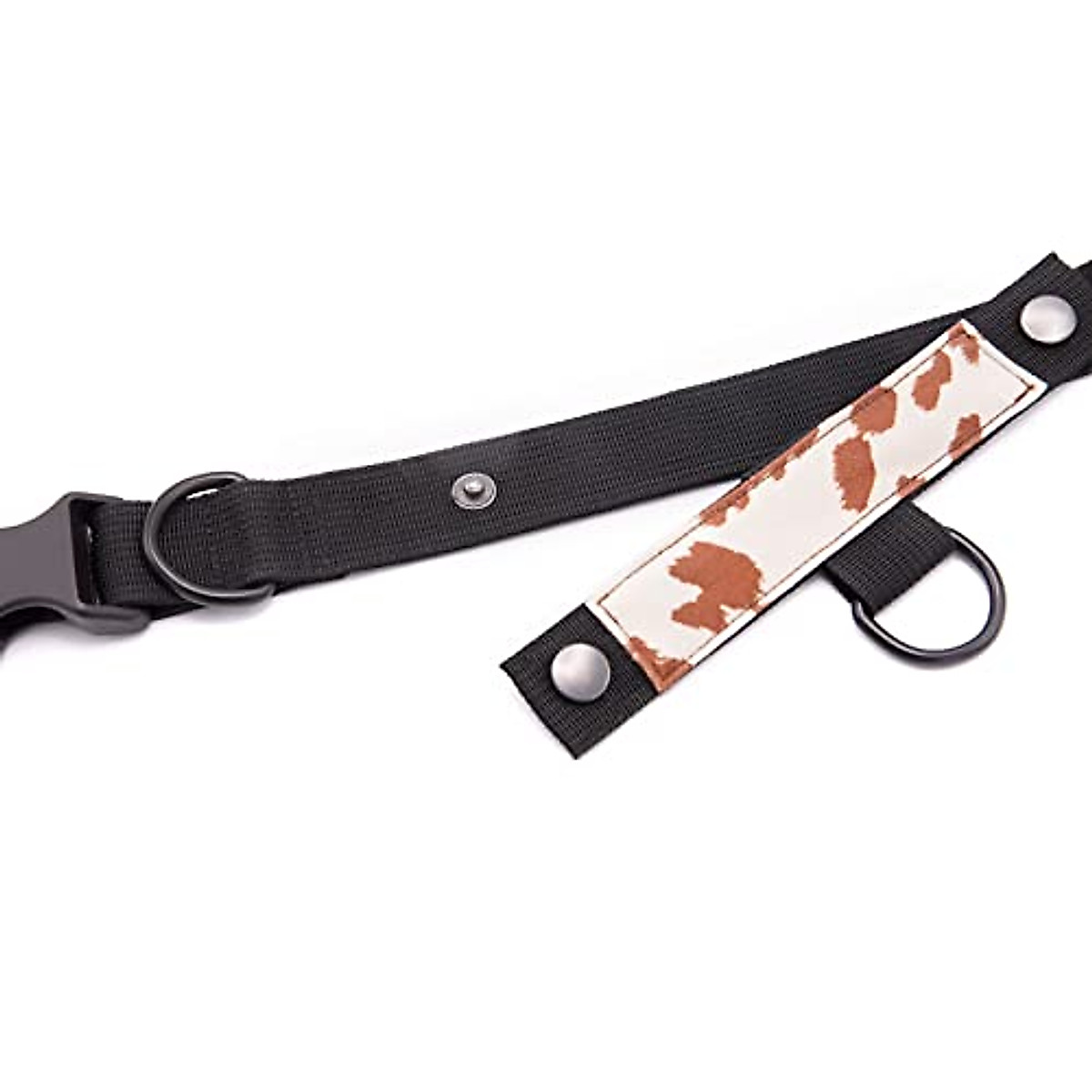 Teddy - Modular Dog Collar