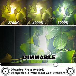 JDE11 Led Bulbs 120V 75W Halogen Candelabra Bulbs Equivalent Dimmable,T3 T4 Mini Base JD E11 Bulb, 6000K Daylilght White 7W 750lm E11 for Chandeliers,Candelabra,Ceiling Fan,Cabinet Lighting,4Pcs