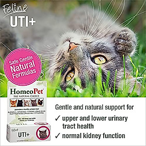 HomeoPet UTI Plus Urinary Tract Infection, Urinary Tract Support for Cats, 15 Milliliters
