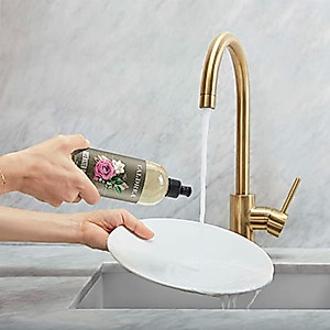 Caldrea Dish Soap, Biodegradable Dishwashing Liquid Made with Soap Bark and Aloe Vera, Rosewater Driftwood Scent, 16 oz