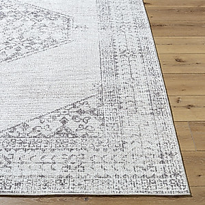 Livabliss x Our PNW Home Olympic Updated Traditional Area Rug, 9'2" x 12', Off-White