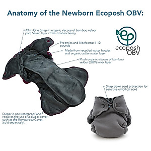 Ecoposh OBV Newborn Fitted Cloth Diaper, Boysenberry