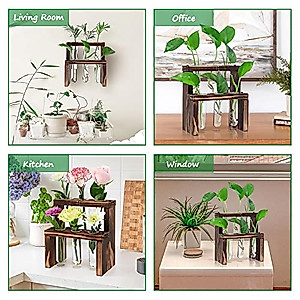 HURZMORO Double Layer Propagation Stations Plant Terrarium with Wooden Stand - 6 Glass Test Tube for Hydroponics Air Plants Indoor House Garden Office Desktop Wall Hanging Decor