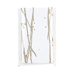 ClearBags Flat Open Top Bags, 2 1/2 x 3 1/2, 100 Pack, Clear Photo Storage Bag, Plastic Sleeves, Sheets for Card, Art, Crafts, Crystal Clear, Archival Safe, B23CNFA