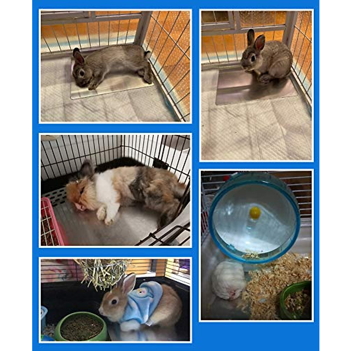 Comtim Pet Cooling Mat for Rabbit Hamsters, Self Cooling Mat Pad for Hamster Guinea Pig Chinchilla Kitten Cat and Other Small Animals, Pet Cool Plate Ice Bed - Perfect for Hot Summer Weather, S