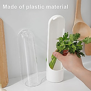 2pcs Fresh Herb Keeper, Herb Saver, Herb Keeper for Refrigerator, Herb Storage Container Keeps Greens Fresh Herb Saver Asparagus ​Keeper Practical Kitchen Tools for Cilantro(2 pcs)