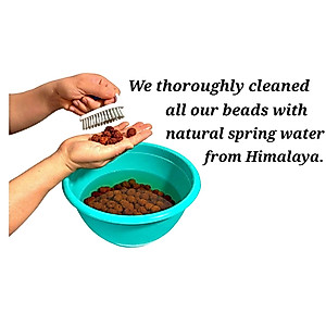 7 Mukhi Nepali Authentic Rudraksha Bead. Seven deep Groove face rudraksha Without Color, Wax and Chemical Treatment. Rudraksha Bead for Yoga, Meditation, Prayer and Stress Healing