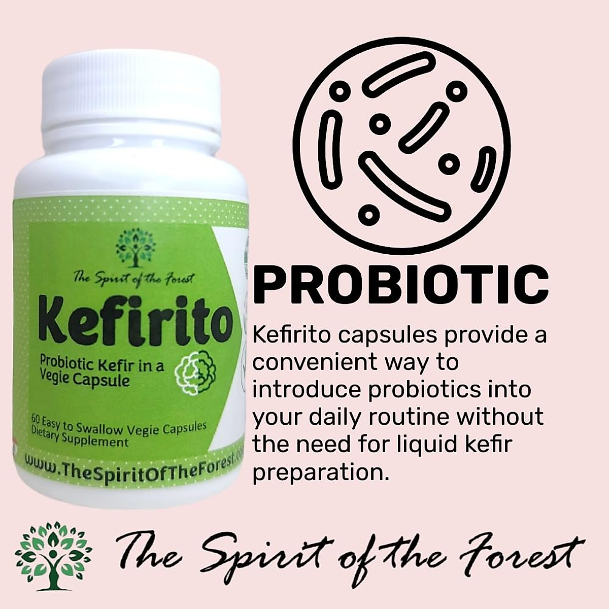 Kefirito 60 Veggie Capsules, 50 Billion CFU, 7 Probiotic Strains Kefiran, 582 mg Natural Active Probiotic, Supports Healthy Digestion, Gluten-Free, Lactosa-Free The Spirit Of The Forest 1 Month Supply
