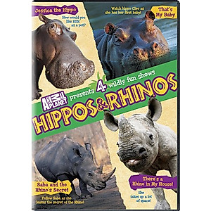 Hippos & Rhinos
