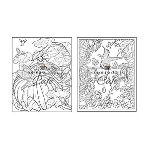 Hummingbird Coloring Book: An Adult Coloring Book Featuring Charming Hummingbirds, Beautiful Flowers and Nature Patterns for Stress Relief and Relaxation