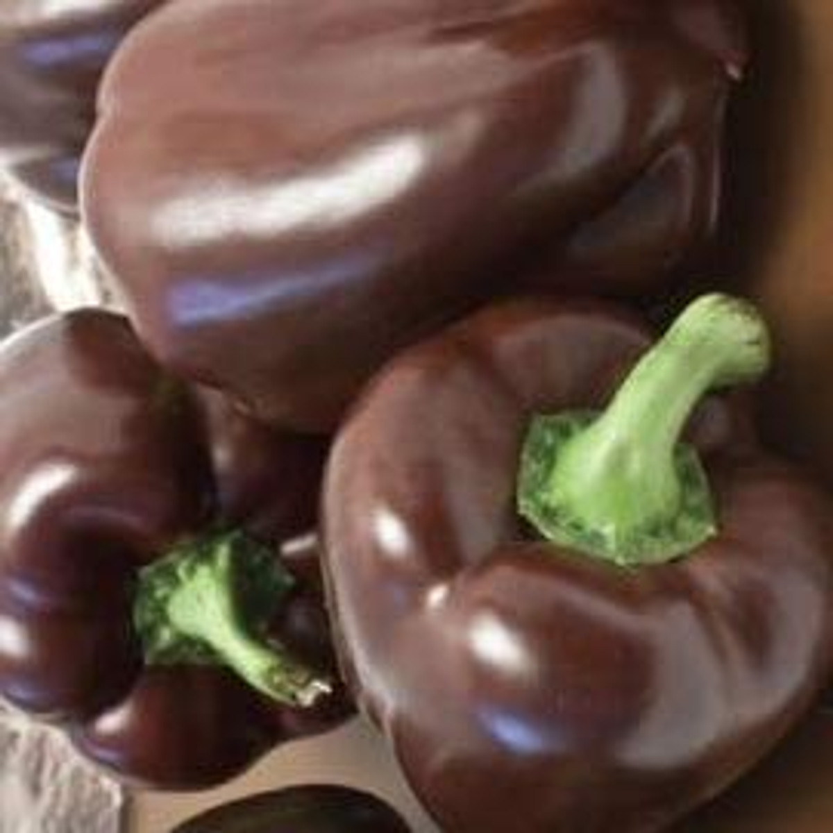Chocolate Beauty Sweet Bell Pepper Seeds for Planting, 20+ Heirloom Seeds Per Packet, (Isla's Garden Seeds), Non GMO Seeds, Botanical Name: Capsicum annuum, Great Home Garden Gift