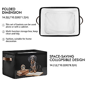 ALAZA Funny Dachshund Dog Black Foldable Storage Box Storage Basket Organizer Bins with Handles for Shelf Closet Living Room Bedroom Home Office 1 Pack