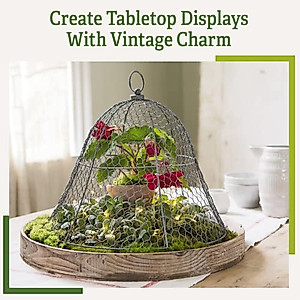 Gardener's Supply Company Sturdy Chicken Wire Cloche Plant Protector & Cover | Sturdy Metal Cage Garden Protection for Your Plants and Seedlings | No Assembly Required - 16" in Diameter x 12-1/2" H